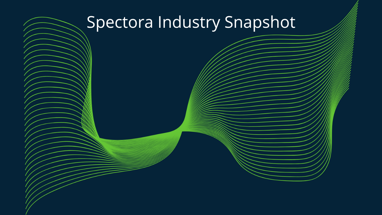 Spectora Industry Snapshot 2023